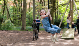 Playdale Case Study | Datel